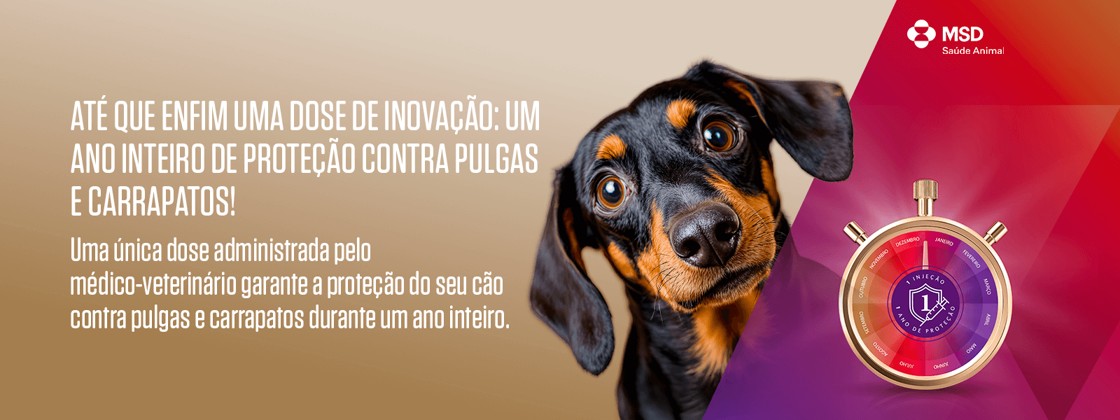 Bravecto 365 - BR Bravecto